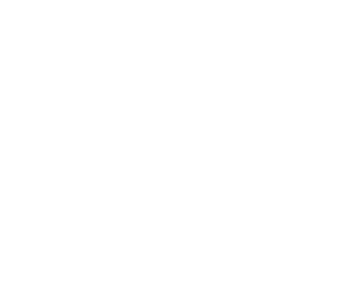 Our company – Digicore #YourFutureOurFocus